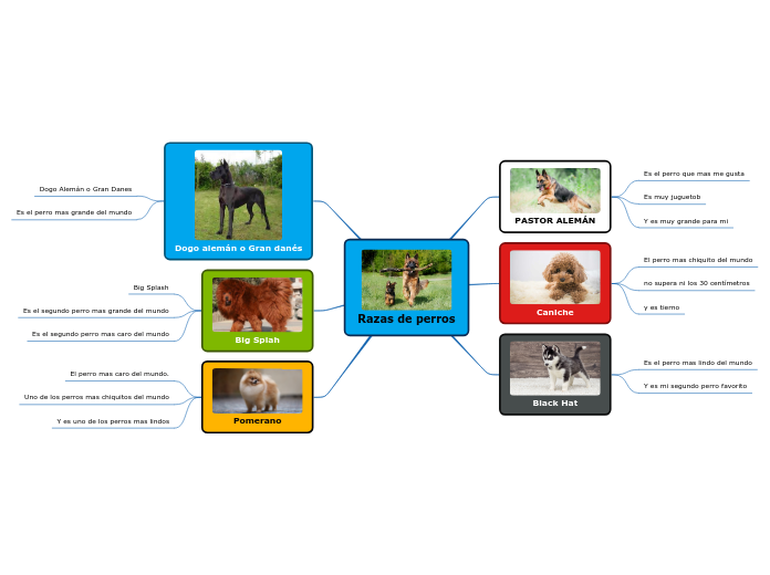 Razas de perros - Mind Map